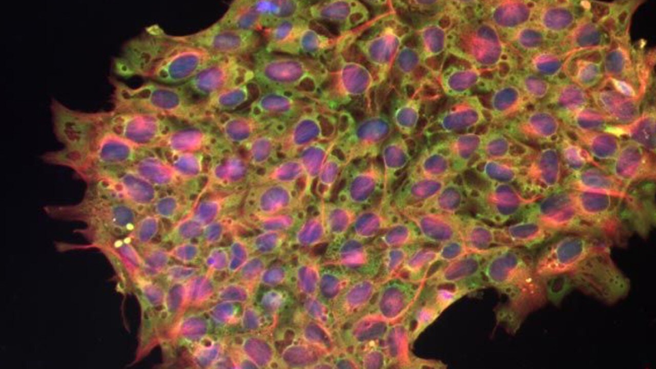 EVOS FLoid 成像系统 | Thermo Fisher Scientific - CN