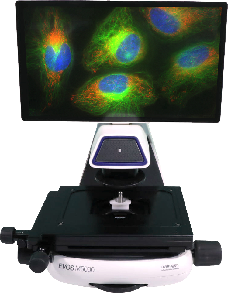 EVOS M5000 荧光成像系统 | Thermo Fisher Scientific - CN