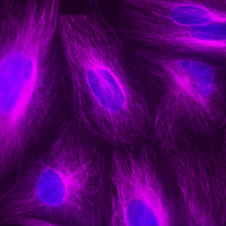 CellInsight CX7 Pro HCS 平台 | Thermo Fisher Scientific - CN