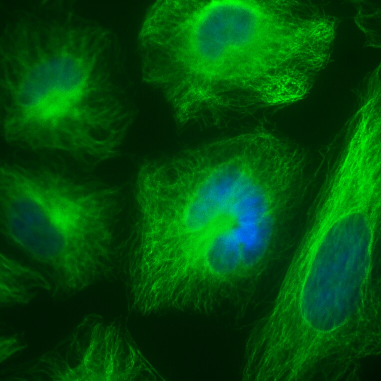 CellInsight CX7 Pro HCS 平台 | Thermo Fisher Scientific - CN