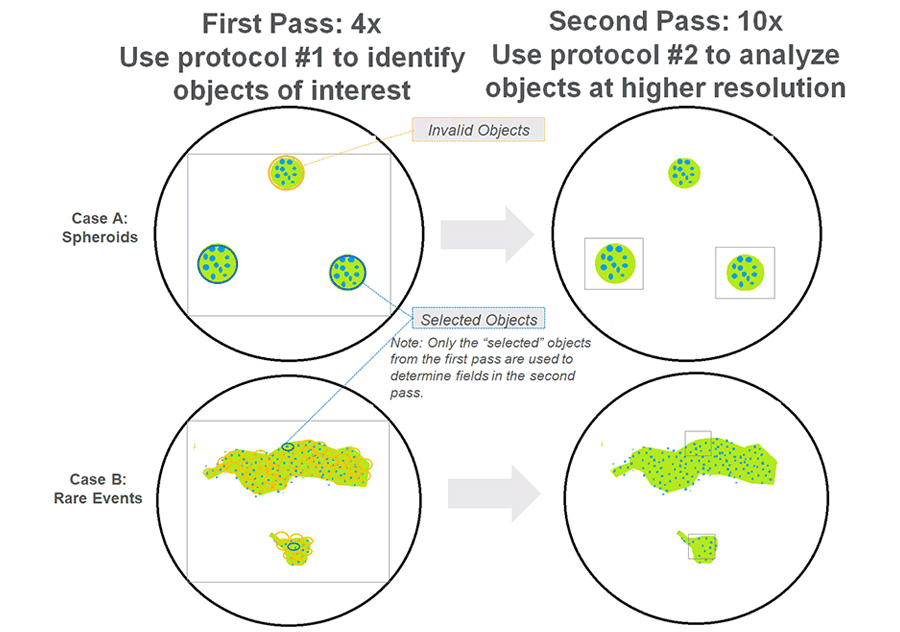 HCS Studio Cell Analysis Software | Thermo Fisher Scientific - CN