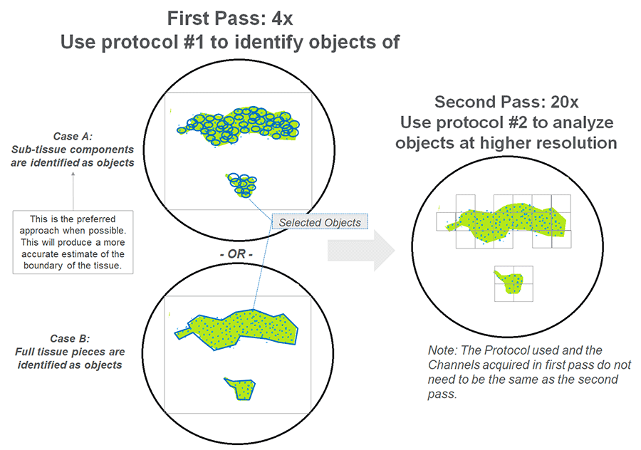 HCS Studio Cell Analysis Software | Thermo Fisher Scientific - CN