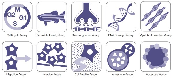 HCS Studio 细胞分析软件 | Thermo Fisher Scientific - CN