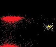 Qdot Probes in Flow Cytometry | Thermo Fisher Scientific - CN