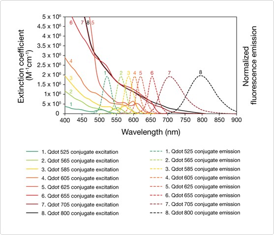 Qdot Probes in Flow Cytometry | Thermo Fisher Scientific - CN