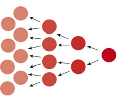 CFSE升级-CellTrace细胞增殖检测试剂盒-赛默飞 | Thermo Fisher Scientific - CN