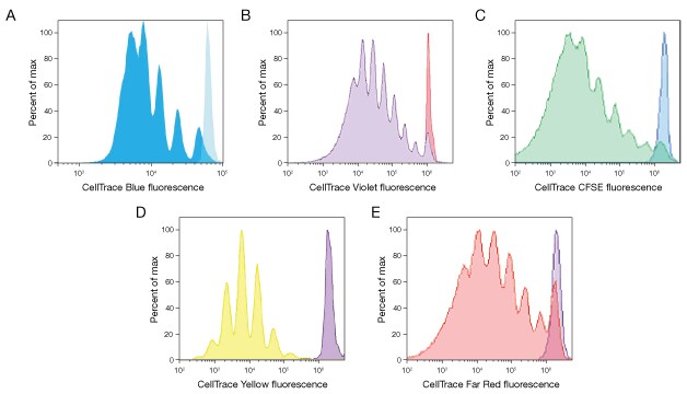 CFSE升级-CellTrace细胞增殖检测试剂盒-赛默飞 | Thermo Fisher Scientific - CN