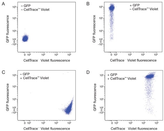 CFSE升级-CellTrace细胞增殖检测试剂盒-赛默飞 | Thermo Fisher Scientific - CN