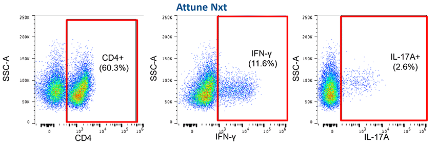 Immunophenotyping Kits for Flow Cytometry | Thermo Fisher Scientific - CN