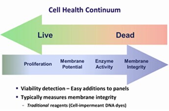 Cell Viability Information | Thermo Fisher Scientific - CN