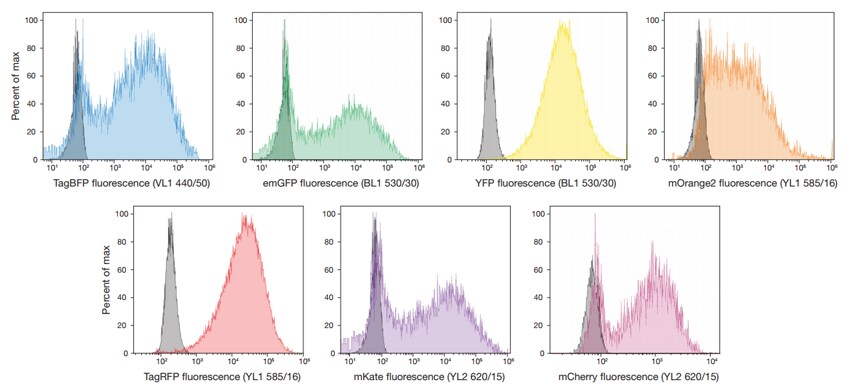 Detection of Fluorescent Proteins Using the Attune NxT Flow Cytometer ...