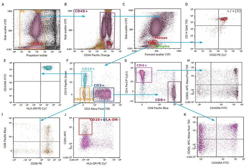 13-Parameter Immunophenotyping of Human Lysed Whole Blood With the ...