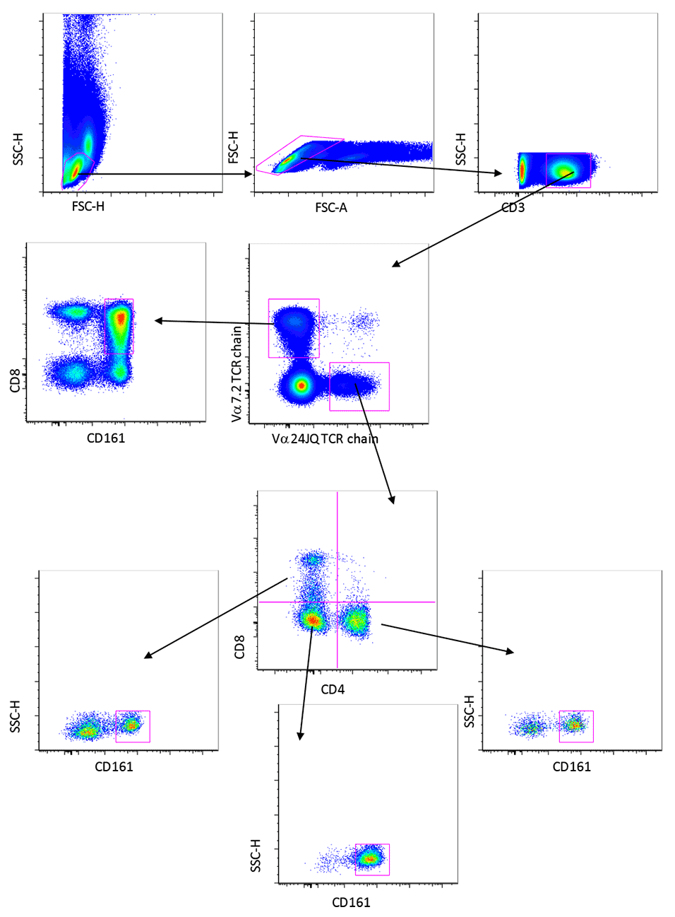 稀有细胞的流式检测分析指南-赛默飞 | Thermo Fisher Scientific - CN