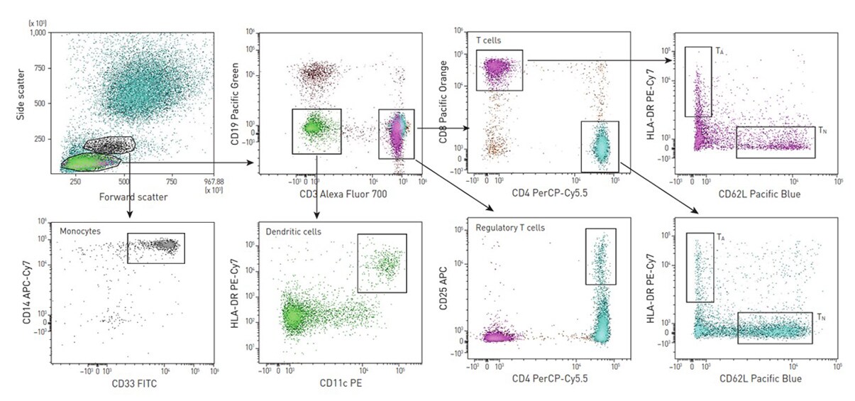 Flow Cytometry Experiment Process—Spectral versus Conventional | Thermo ...
