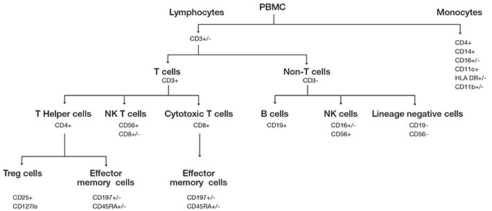 Flow Cytometry Experiment Process—Spectral versus Conventional | Thermo ...