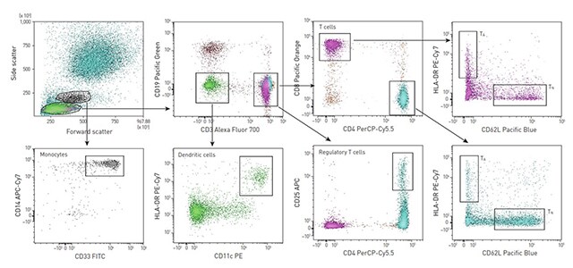 Flow Cytometry Experiment Process—Spectral versus Conventional | Thermo Fisher Scientific - CN