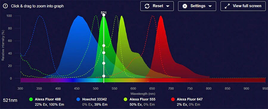 Spectral Flow Cytometry Glossary of Terms | Thermo Fisher Scientific - CN