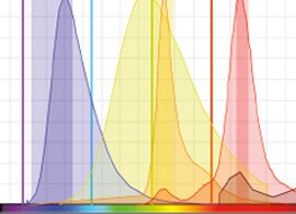 Antibody Conjugates, Antibody Labeling, and Fluorophores | Thermo ...
