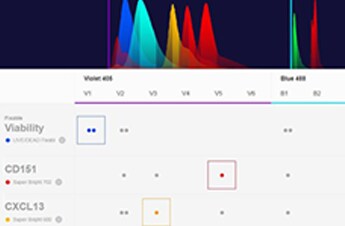 Panel Design and Multicolor Flow Cytometry Information | Thermo Fisher ...