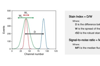 Panel Design and Multicolor Flow Cytometry Information | Thermo Fisher ...