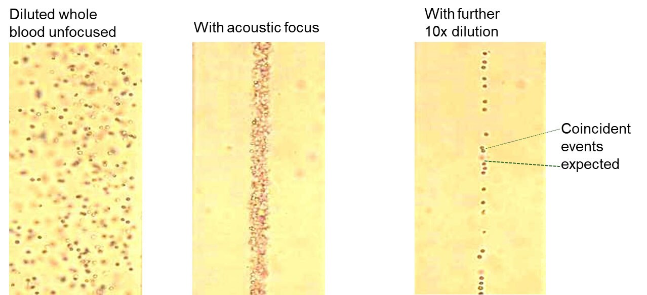 Extracellular Vesicle Detection with Flow Cytometry | Thermo Fisher ...