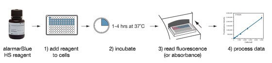 alamarBlue and alamarBlue HS Microplate Assays | Thermo Fisher ...