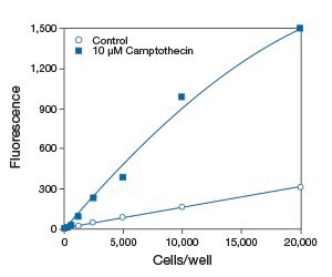 CyQUANT细胞毒性检测 | Thermo Fisher Scientific - CN