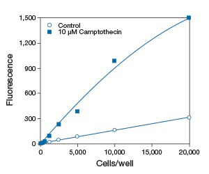 CyQUANT细胞毒性检测 | Thermo Fisher Scientific - CN