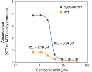CyQUANT XTT和MTT细胞活力检测法 | Thermo Fisher Scientific - CN