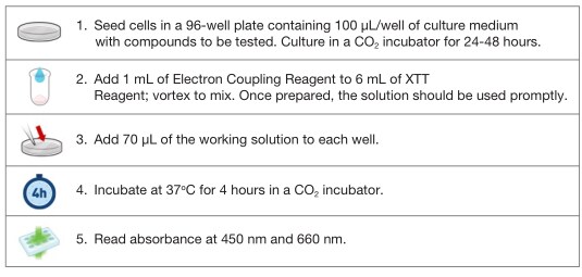 CyQUANT XTT and MTT Assays for Cell Viability | Thermo Fisher ...