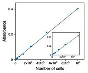 CyQUANT XTT和MTT细胞活力检测法 | Thermo Fisher Scientific - CN