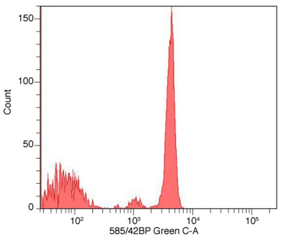 terminal arborization 中文