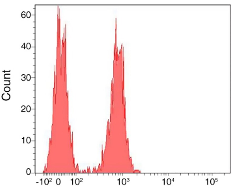 Alexa Fluor 594 Dye | Thermo Fisher Scientific - CN