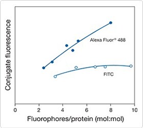 Alexa Fluor 品牌概述 | Thermo Fisher Scientific - CN