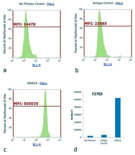 Fluorescein (FITC) | Thermo Fisher Scientific - CN