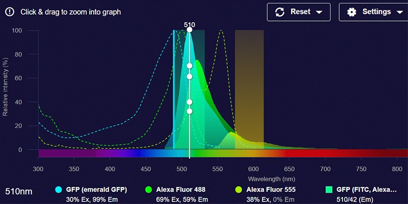 荧光光谱查看器-SpectraViewer-赛默飞 | Thermo Fisher Scientific - CN