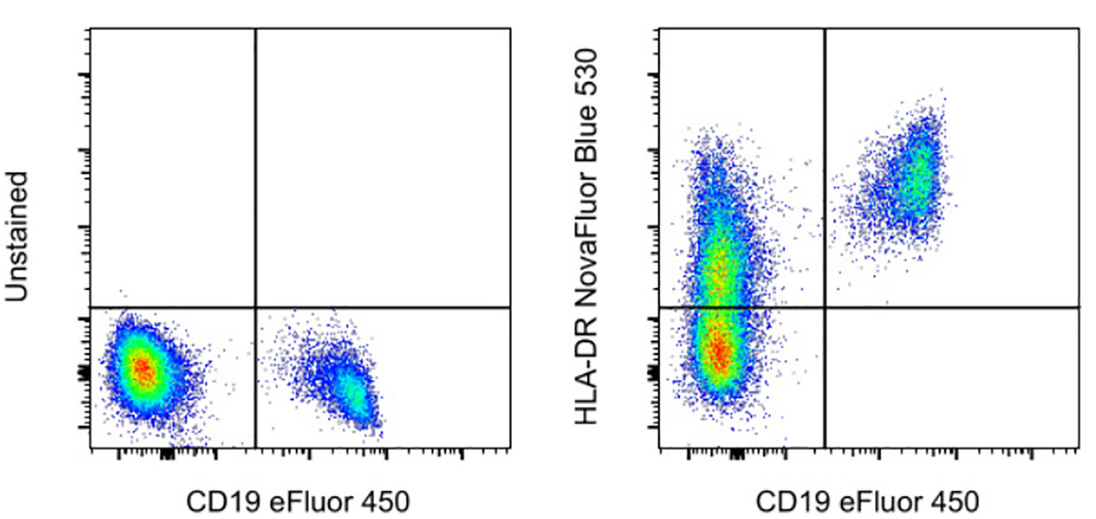 NovaFluor Blue 530 Dye | Thermo Fisher Scientific - CN