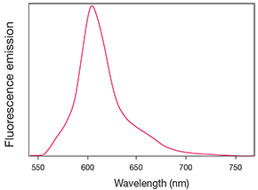 PE-eFluor 610 dye | Thermo Fisher Scientific - CN