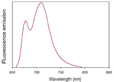 PerCP-eFluor 710 | Thermo Fisher Scientific - CN