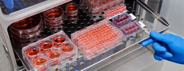 细胞培养设备使用指南与资源-赛默飞| Thermo Fisher Scientific - CN | Thermo Fisher ...