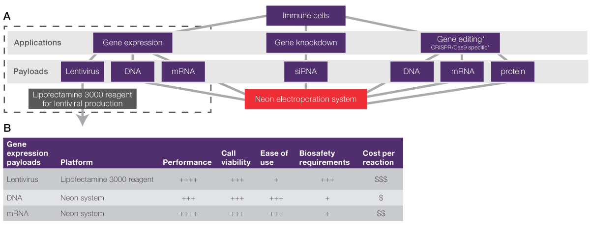 Delivery Solutions For Immune Cells | Thermo Fisher Scientific - CN