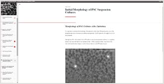 Gibco 虚拟学习 | Thermo Fisher Scientific - CN