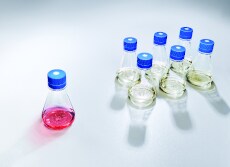 Shake Flasks for Suspension Culture | Thermo Fisher Scientific - CN