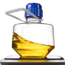 用于悬浮培养的三角摇瓶 | Thermo Fisher Scientific - CN