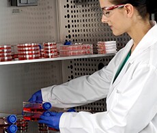 T175 Flasks | Thermo Fisher Scientific - CN