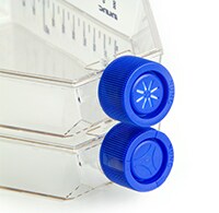 T175 Flasks | Thermo Fisher Scientific - CN