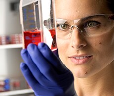 T225 培养瓶 | Thermo Fisher Scientific - CN