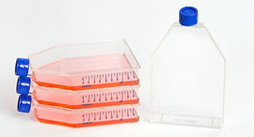 T225 培养瓶 | Thermo Fisher Scientific - CN