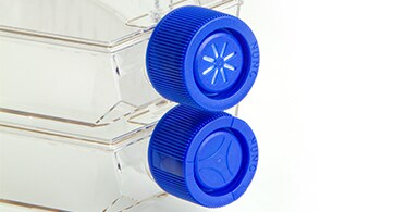 T75 培养瓶 | Thermo Fisher Scientific - CN