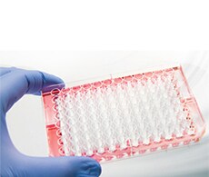 Nunc Edge 96-Well Cell Culture Plates | Thermo Fisher Scientific - CN